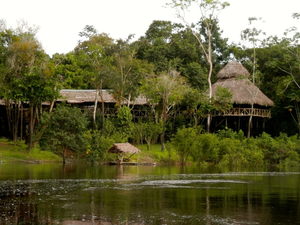 Return to the Jungle - Wandering North