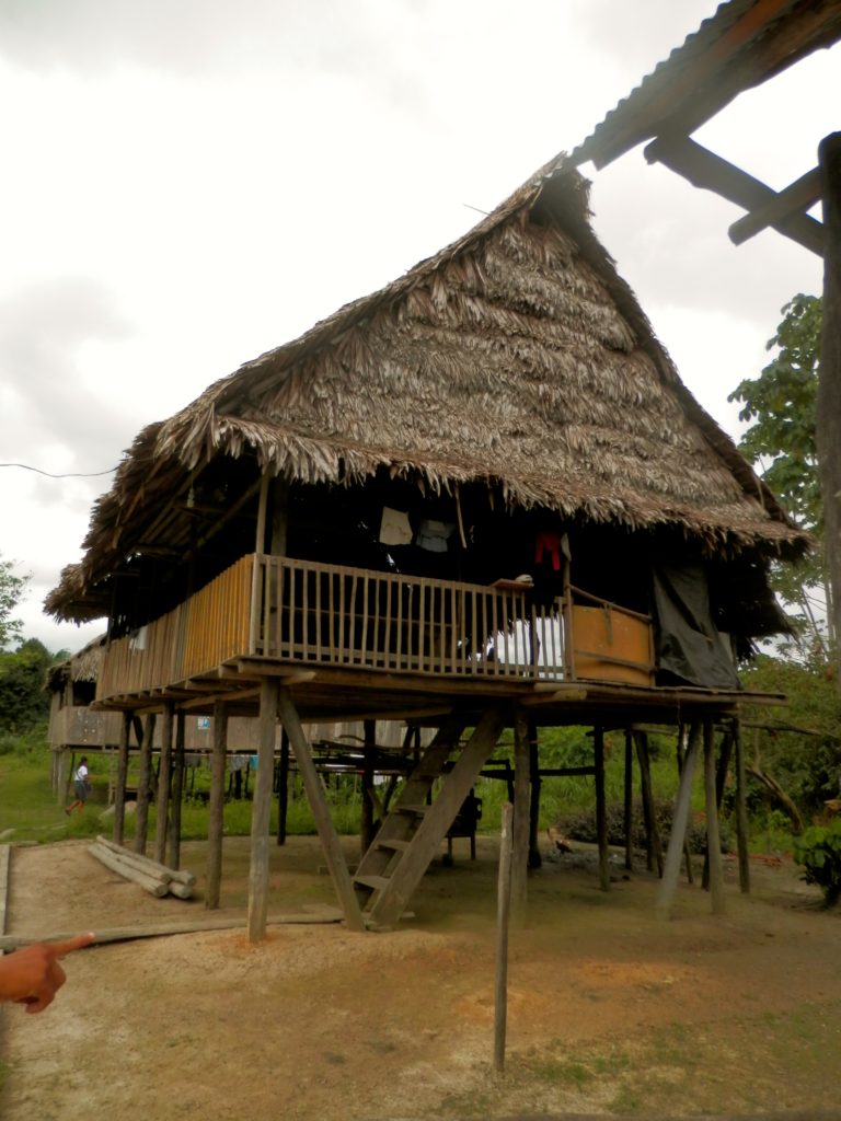 The Village in the Peruvian Amazon - Wandering North