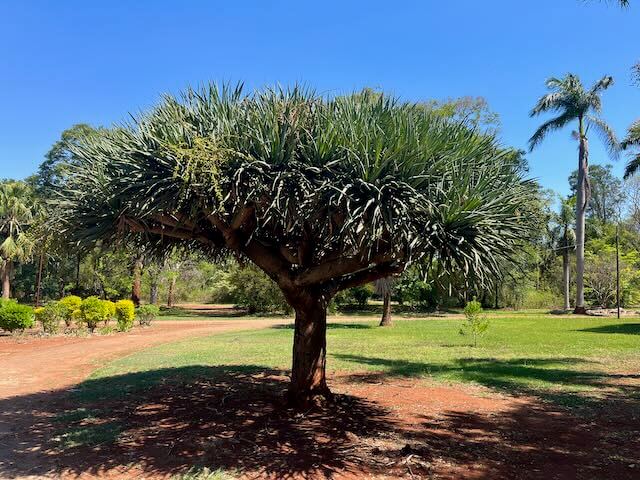 Visiting Harare - Wandering North