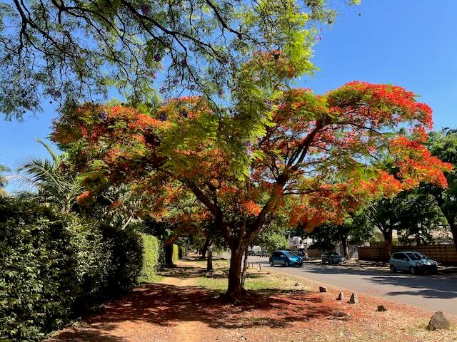 Visiting Harare - Wandering North